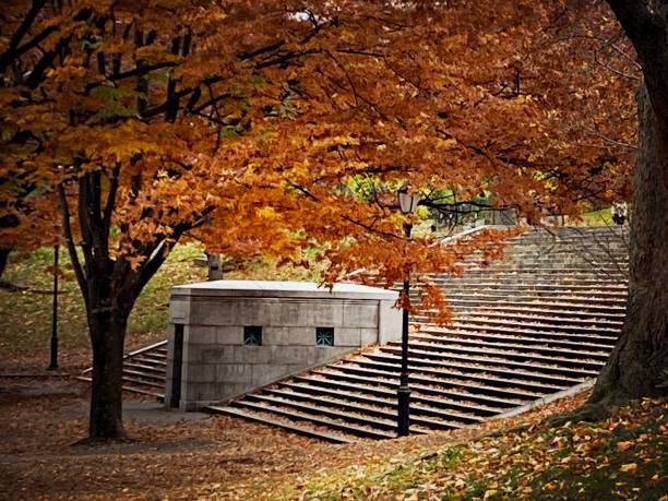 New Apartments in Fort Greene, Brooklyn | THE GARRISON